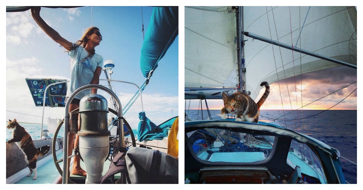 Woman Quits Her Job And Sails Around The World With Her Rescue Cat | Catlov
