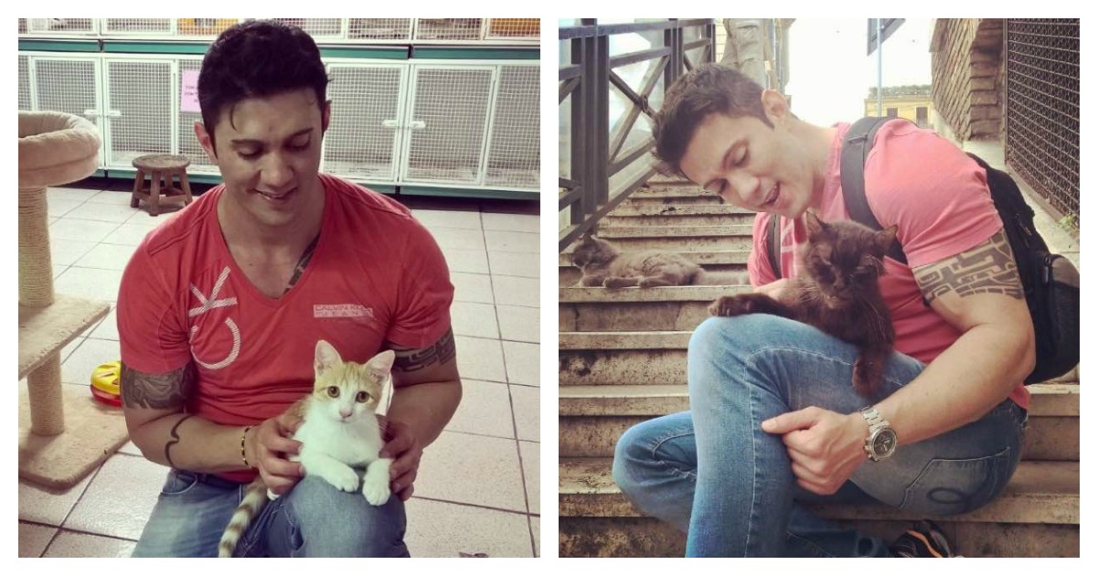 Man Dedicates Life To Rescuing Homeless Cats As He Travels The Globe ...