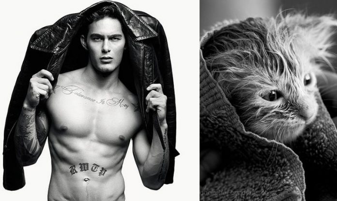 20+ Gorgeous Men And Their Cat Look Alikes… | Catlov