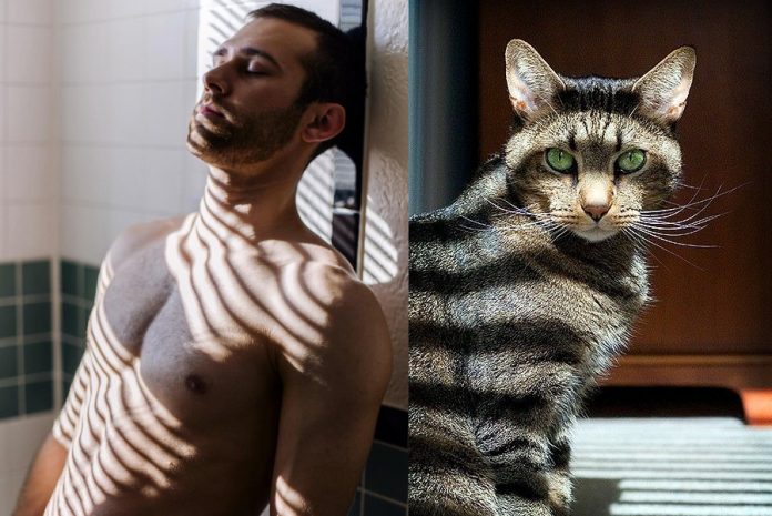 20+ Gorgeous Men And Their Cat Look Alikes… | Catlov