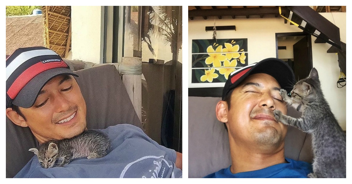 Man Saves Tiny Kitten, who Chooses Him and Changes His Life Completely ...