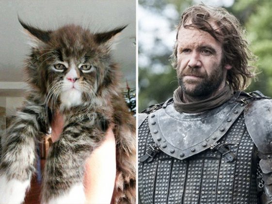 15 Cats That Look Incredibly Identical To Famous Fictional Characters ...
