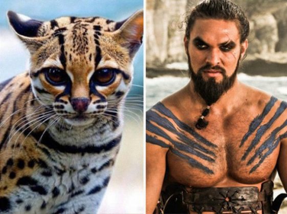15 Cats That Look Incredibly Identical To Famous Fictional Characters ...