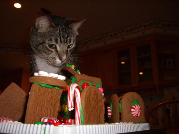18+ Cats That Enjoy Destroying Christmas… | Catlov