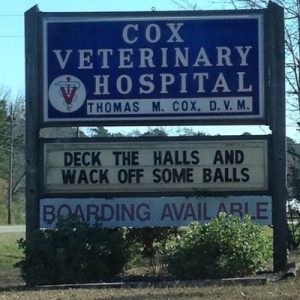 16 Vet Signs That Show They Have A Great Sense Of Humor About Cats And ...