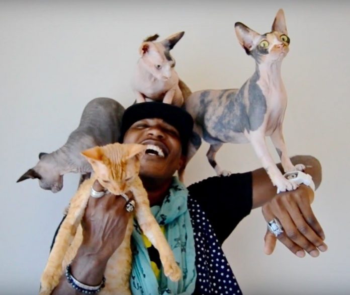 Rapper Who Always Disliked Cats, Now Can't Live Without Them, And Helps ...