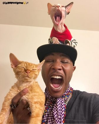 Rapper Who Always Disliked Cats, Now Can't Live Without Them, And Helps ...
