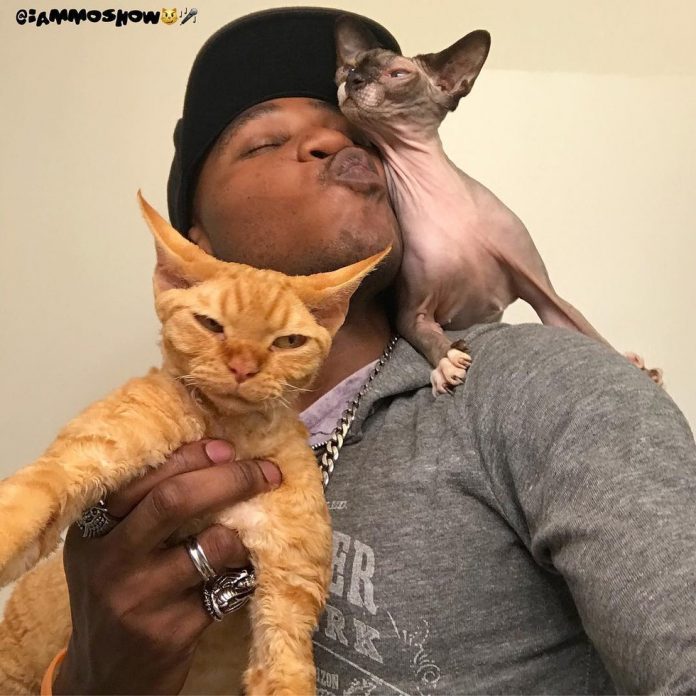 Rapper Who Always Disliked Cats, Now Can't Live Without Them, And Helps ...