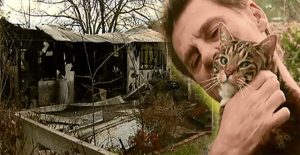 15 Cats That Are Real Life Superheroes By Saving Human Lives.. | Catlov