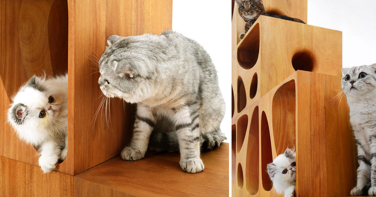 The Storage System For All Cat’s Curiousity: CATable 2.0 | Catlov
