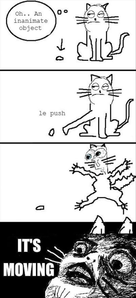 25+ Of The Best Examples Of Cat Logic | Catlov