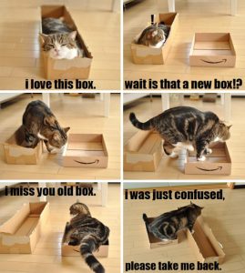 25+ Of The Best Examples Of Cat Logic | Catlov