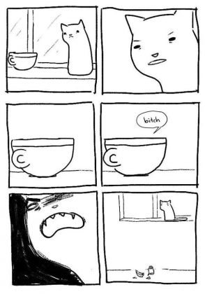 25+ Of The Best Examples Of Cat Logic | Catlov