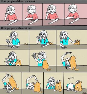 25+ Of The Best Examples Of Cat Logic | Catlov