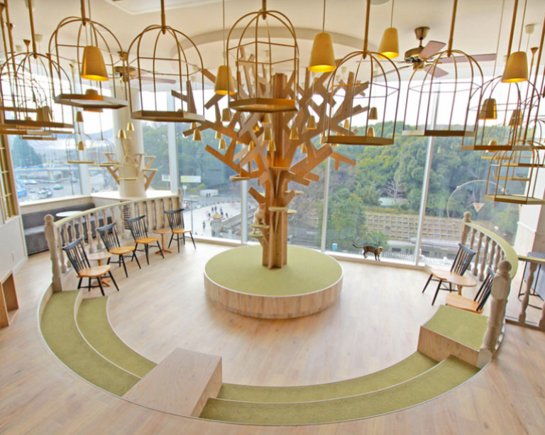 Japanese Cat Cafes That Will Wow You Beyond Belief | Catlov
