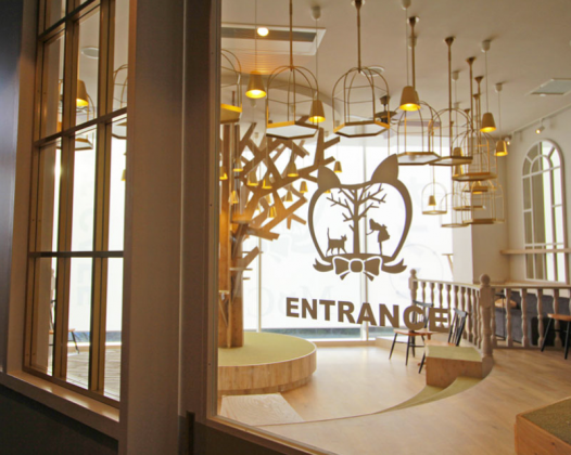 Japanese Cat Cafes That Will Wow You Beyond Belief | Catlov