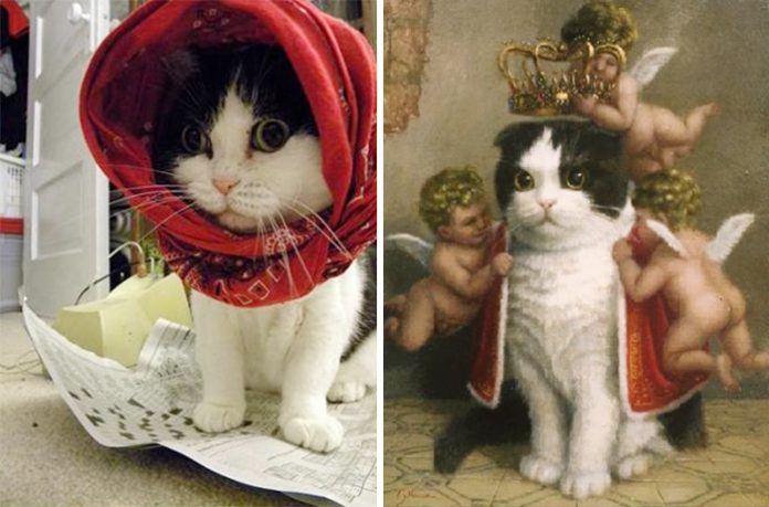 25+ Cats That Look Like Other Things | Catlov