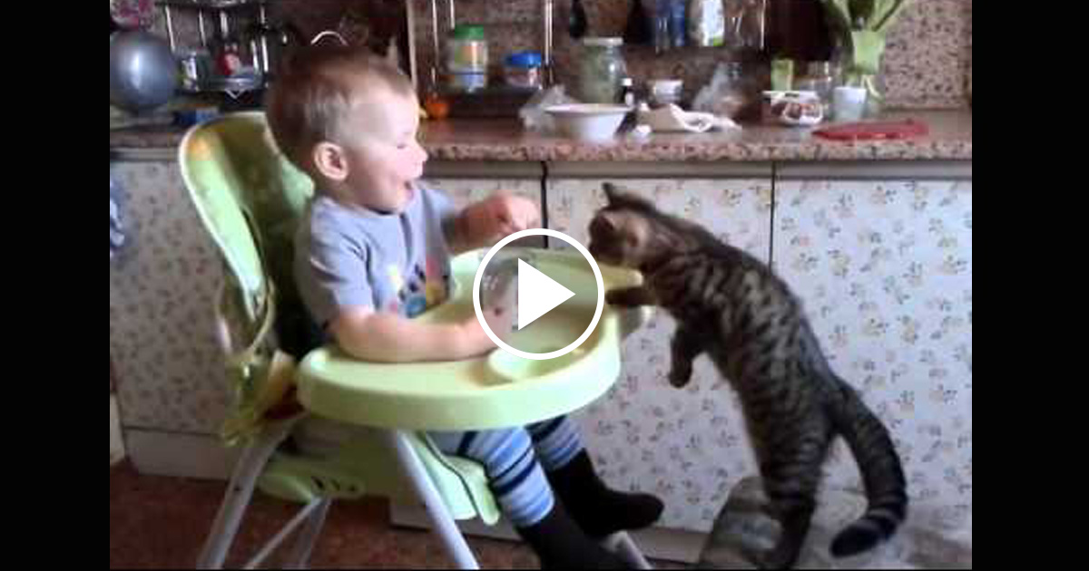 Adorable Baby Sharing Breakfast With His Kitten | Catlov