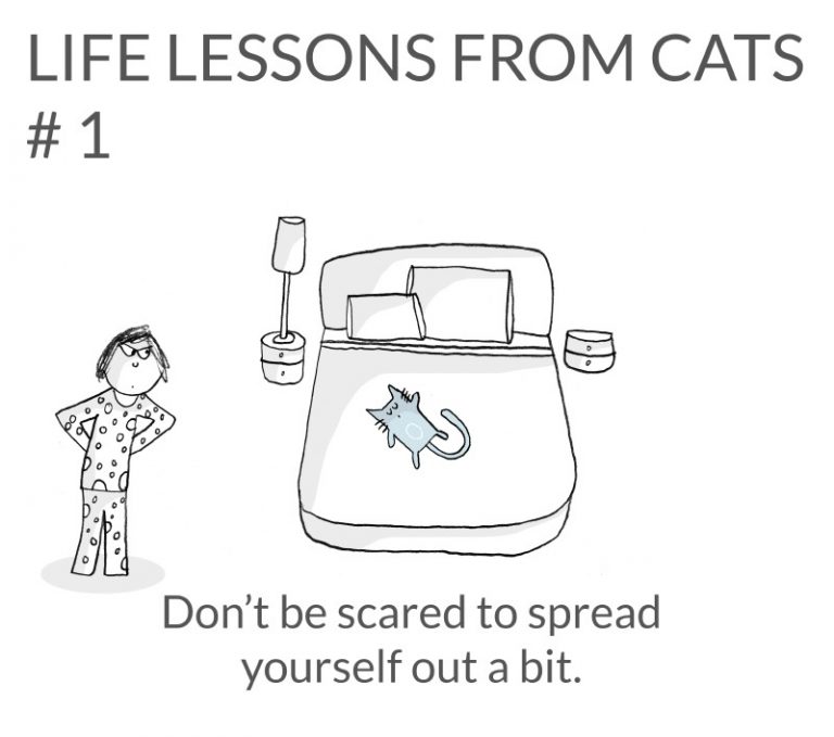 21 Cute And Insightful Life Lessons Cats Are Trying To Teach Us | Catlov
