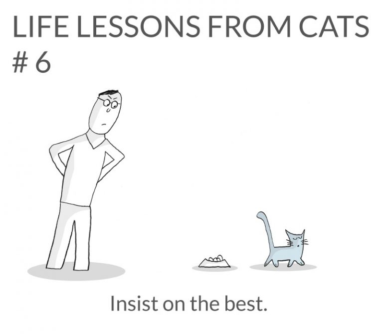 21 Cute And Insightful Life Lessons Cats Are Trying To Teach Us | Catlov