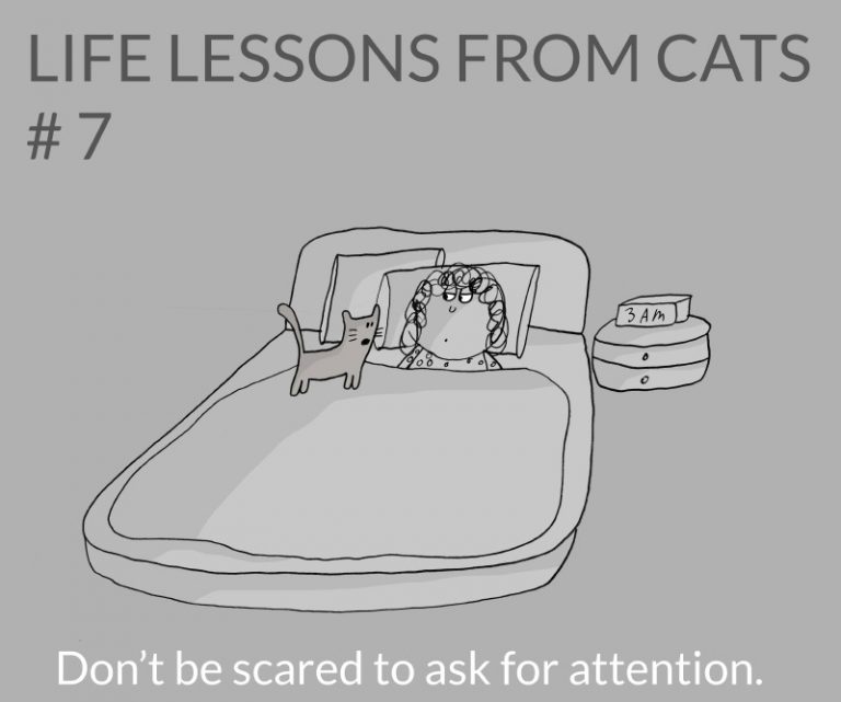 21 Cute And Insightful Life Lessons Cats Are Trying To Teach Us | Catlov