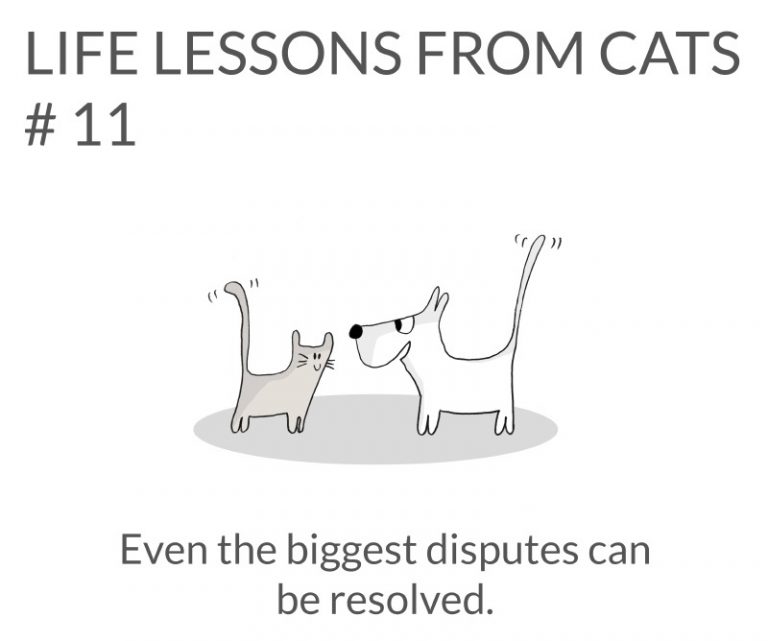21 Cute And Insightful Life Lessons Cats Are Trying To Teach Us | Catlov