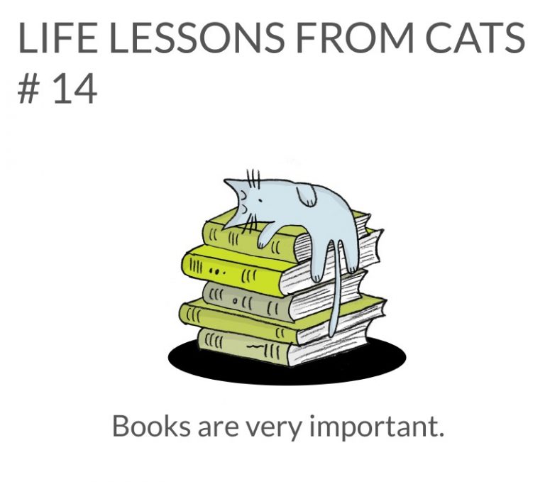 21 Cute And Insightful Life Lessons Cats Are Trying To Teach Us | Catlov