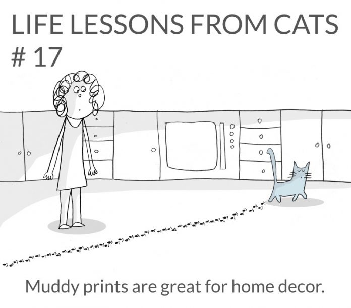 21 Cute And Insightful Life Lessons Cats Are Trying To Teach Us | Catlov