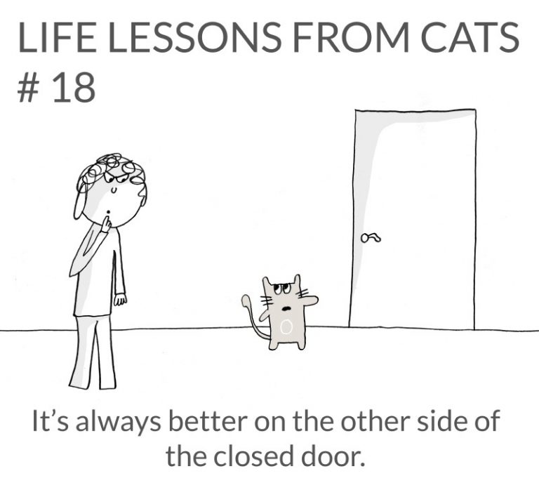 21 Cute And Insightful Life Lessons Cats Are Trying To Teach Us | Catlov
