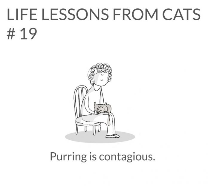 21 Cute And Insightful Life Lessons Cats Are Trying To Teach Us | Catlov