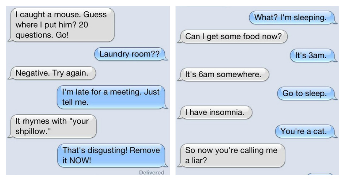 12 Texts Your Cat Would Totally Send You If He/She Had Access To A ...