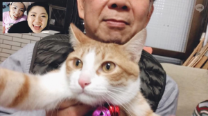 17 Things Only People Who Are "Besties" With Their Cats Will Understand ...