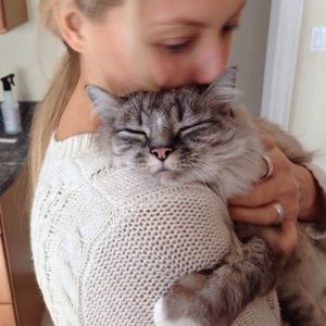 17 Things Only People Who Are "Besties" With Their Cats Will Understand ...