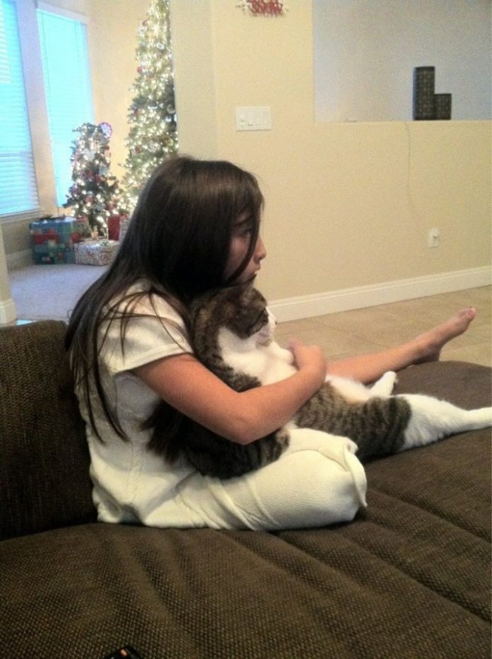 23 Pictures That Prove Cats Are Also Man's Best Friend | Catlov