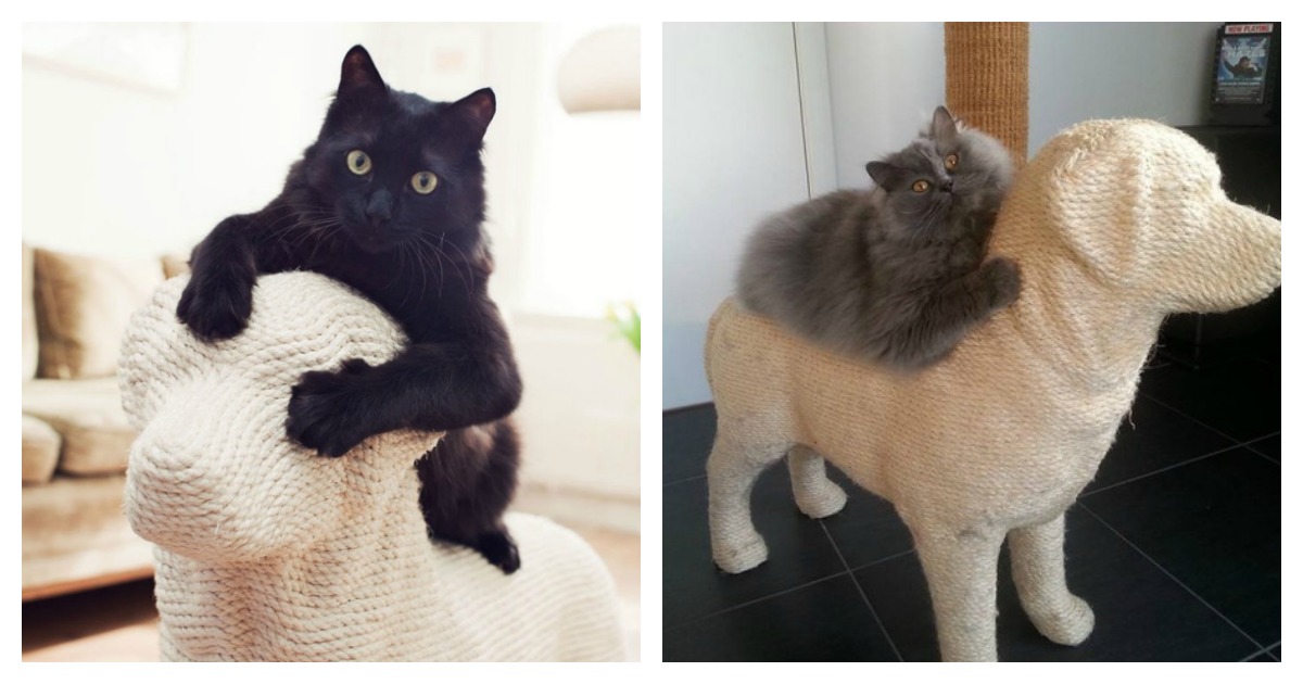 Dog-Shaped Scratching Post Is Here, And All Cats Are Obsessed With It ...