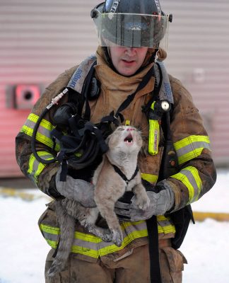 24 Firefighters Who Risked Their Lives To Save Cats | Catlov