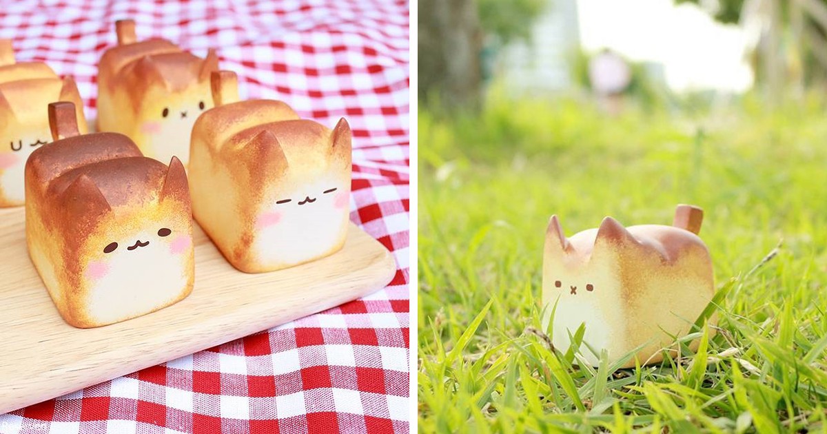 Warmly ‘Baked’ Breadcat That Looks Too Cute To Eat | Catlov