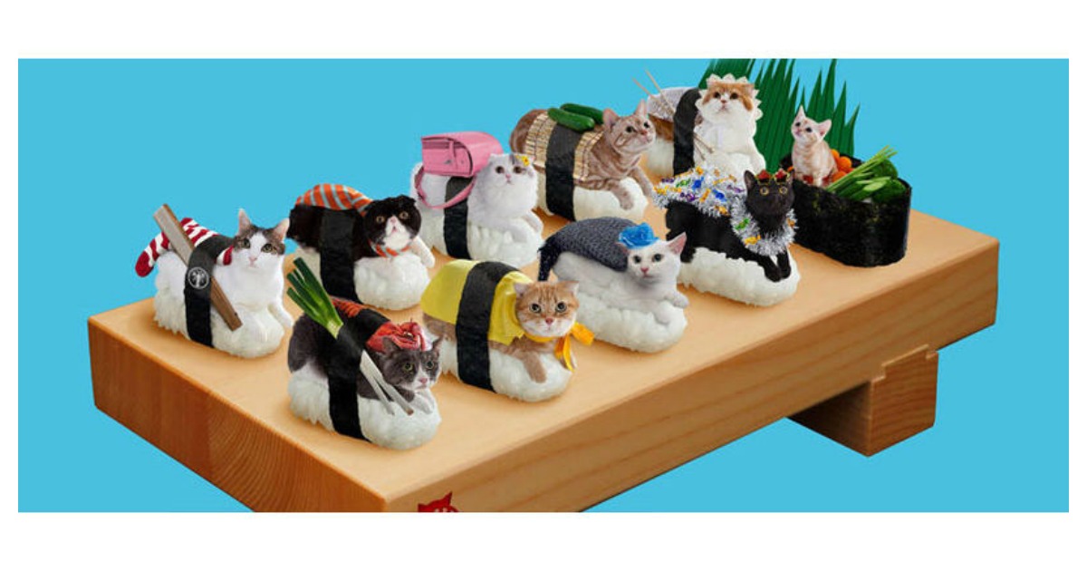 12 Adorable Cats Dressed As The Perfect Little Sushi Bites | Catlov