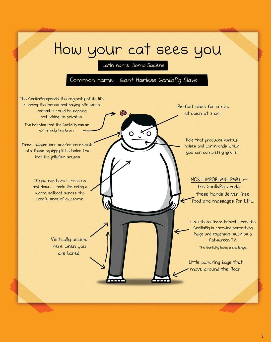 Cute Illustrations Which Perfectly Depict How Cats And Humans See Each ...