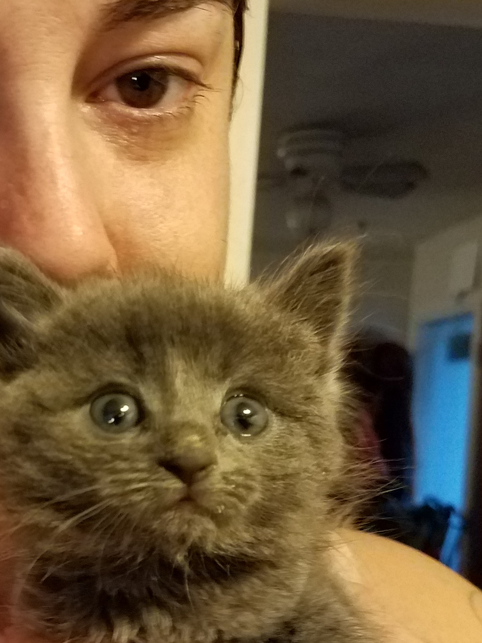 Kitten Crawls Up To A Man Meowing For Love While He Is Fishing | Catlov