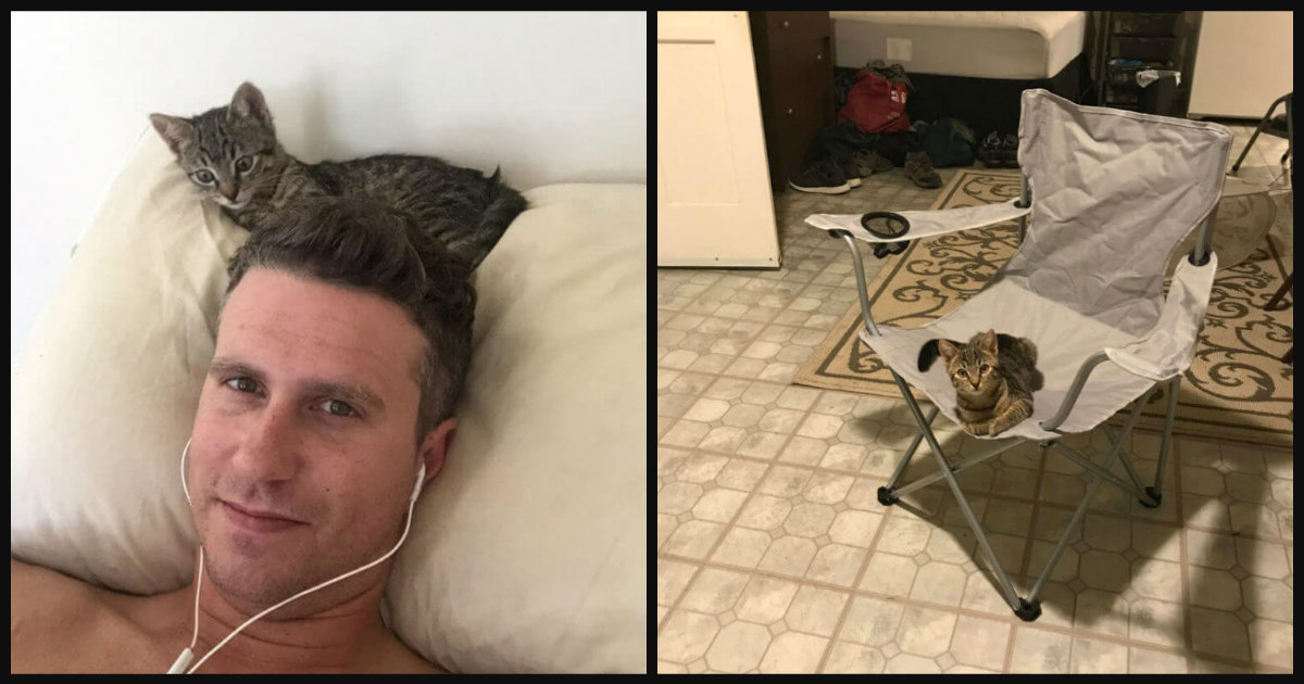 Kitten "Breaks and Enters" To Choose His New Owner | Catlov