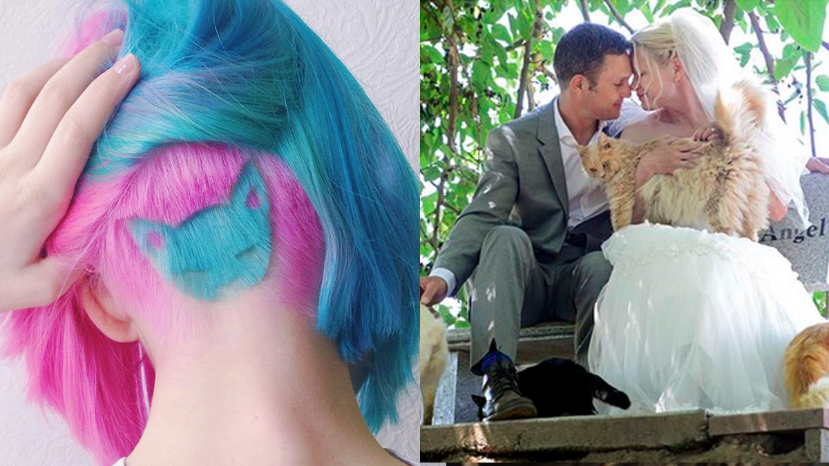 10 People Who Took "The Crazy Cat Lady" Thing To A Whole New Level | Catlov