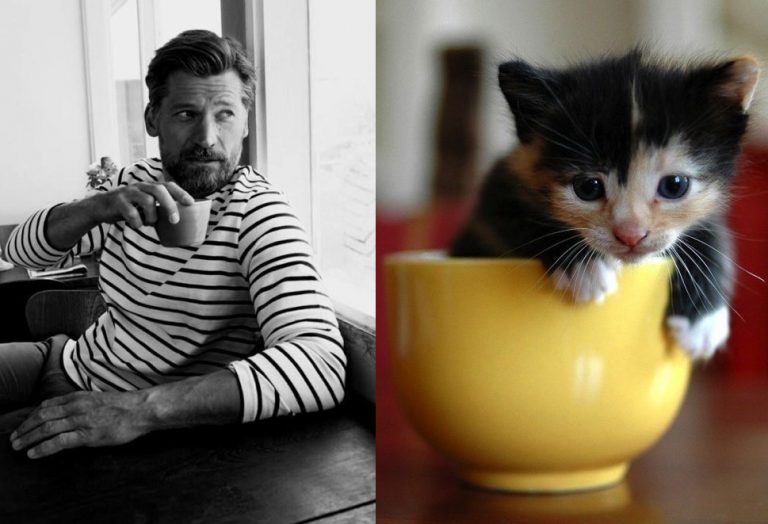 20+ Gorgeous Men And Their Cat Look Alikes… | Catlov