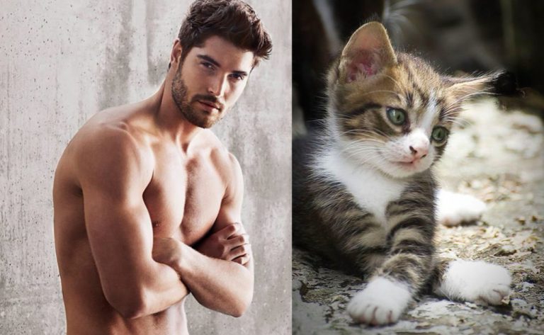 20+ Gorgeous Men And Their Cat Look Alikes… | Catlov