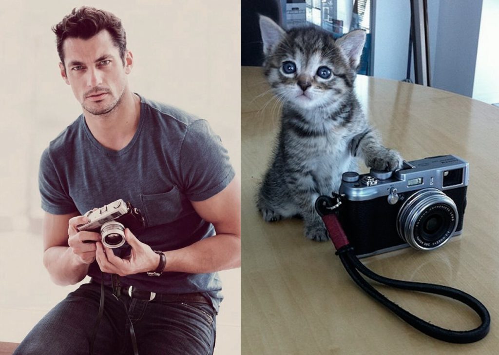 20+ Gorgeous Men And Their Cat Look Alikes… | Catlov
