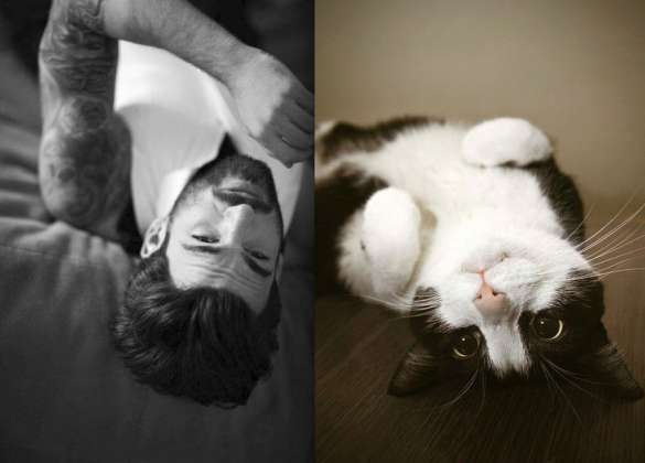 20+ Gorgeous Men And Their Cat Look Alikes… | Catlov