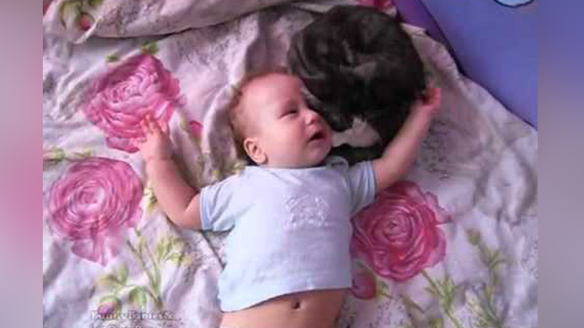 Sweet And Kind Kitty Soothes Crying Baby | Catlov