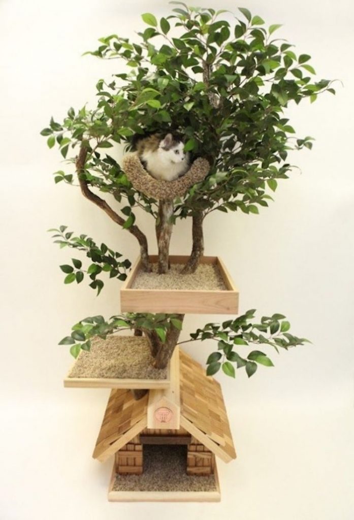 Indoor Cat Towers Made From Real Trees Are Absolutely Stunning Catlov