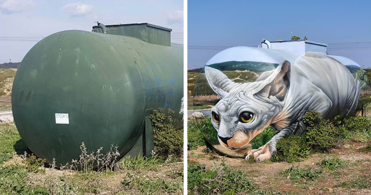 Street Artist Paints Mind-Bending Sphynx Illusion on Gas Tank | Catlov