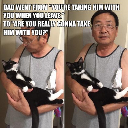 Dads Who Didn’t Want Damn Cats In Their Lives But Then A Cat Changed Everything – DEFUSED